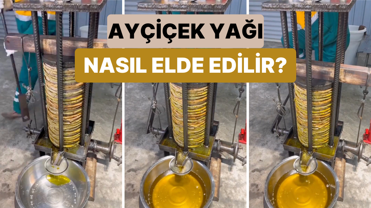 Ayçiçek Yağının Elde Edilişi: İnsan Gücüyle Gelen Geleneksel Süreç Ve ...